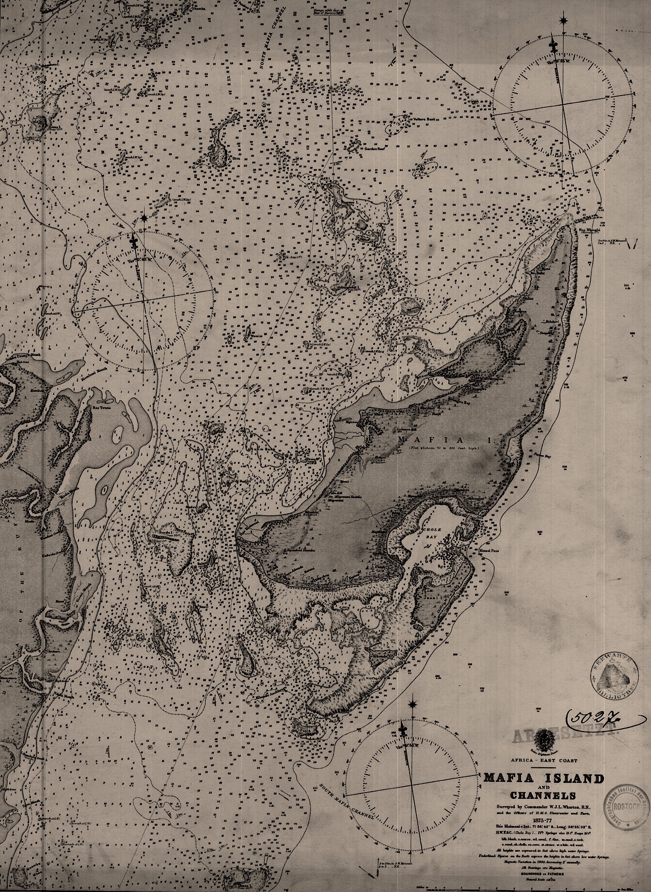 Welcome to Kileleni - kileleni, Mafia Island